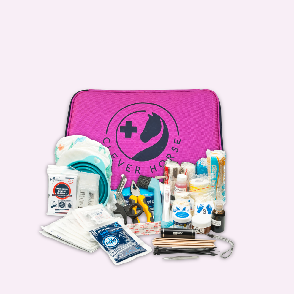Deluxe Kit - The Crisis Kit – Clever Horse